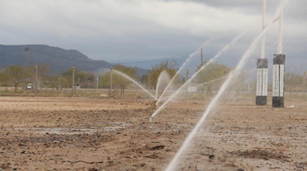 Con el apoyo de Minas Argentinas, la cancha del Cóndor Rugby Club ya ...